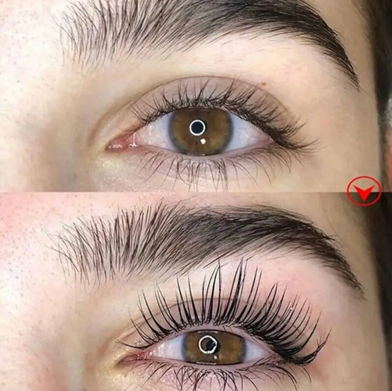 LASH PERFECTION
